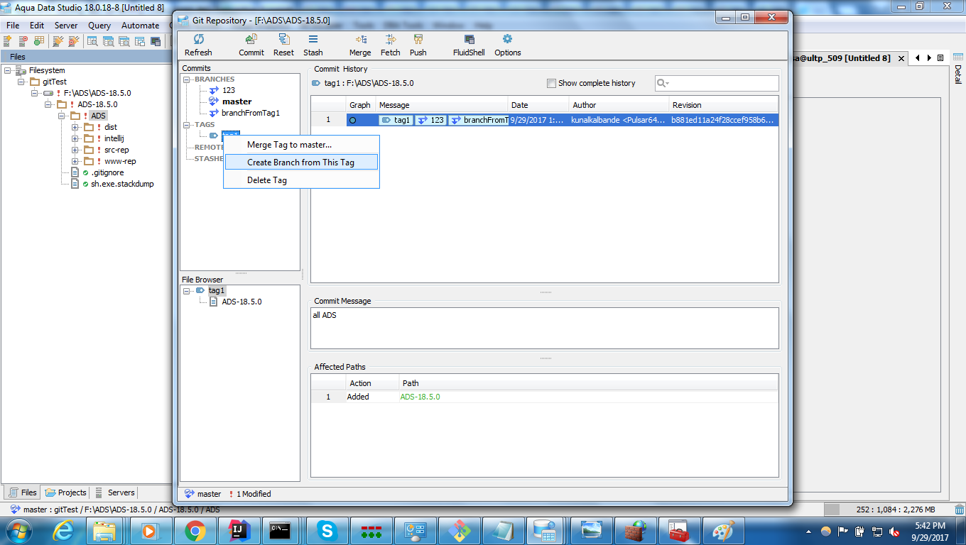 10045 Git Client Tags Add Create Branch Menu Item Aqua Data Studio